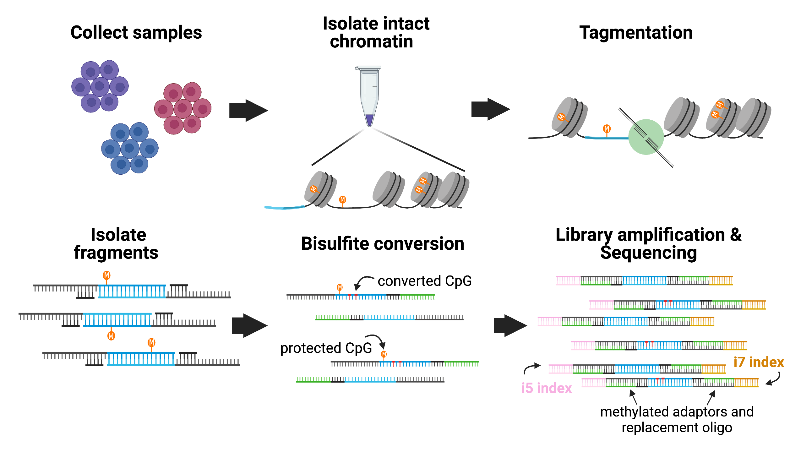An Epigenetic 2-for-1 Deal: Joint-Profiling of DNA Methylation and Chromatin Accessibility ...